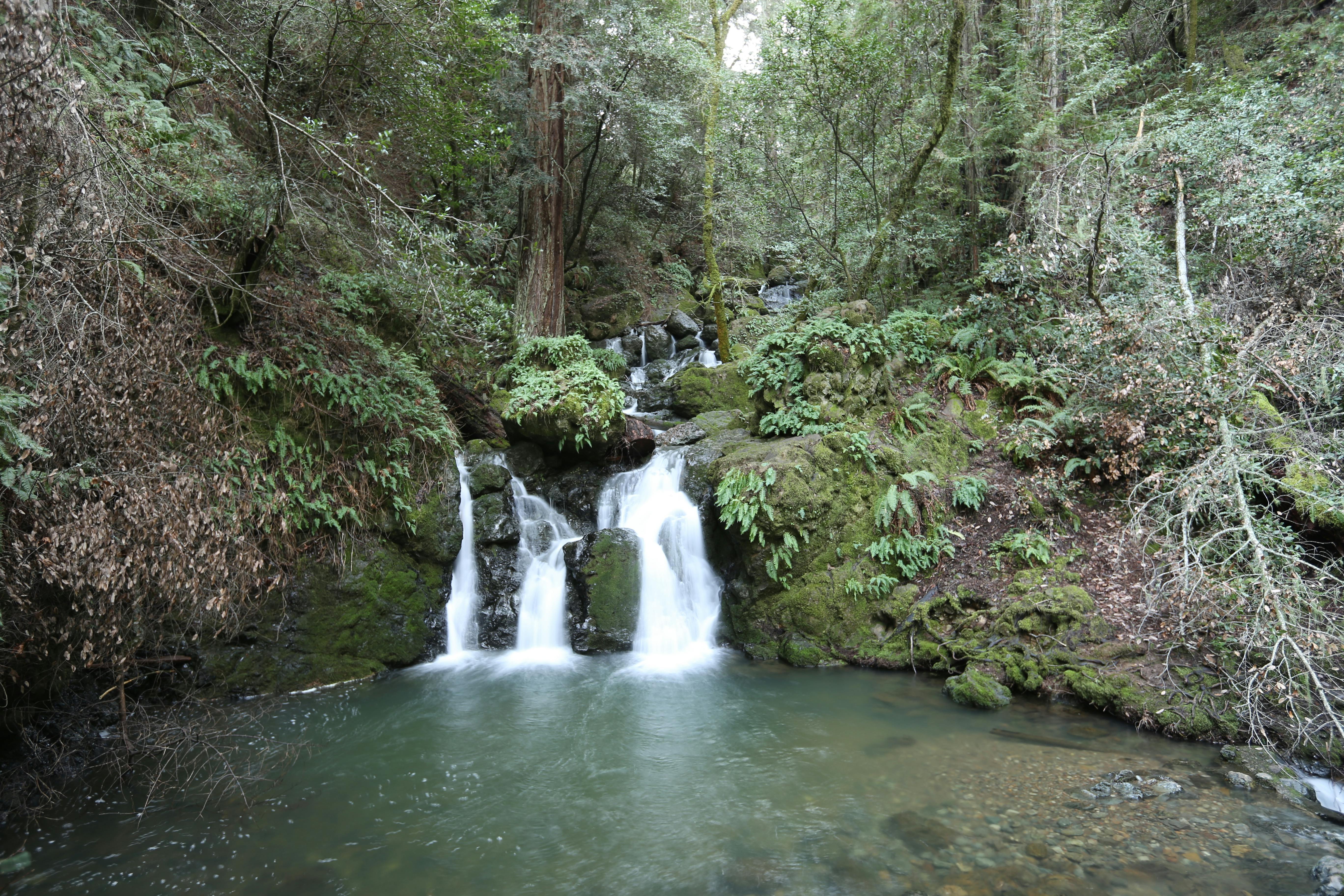 Mile-Long Cataract Club