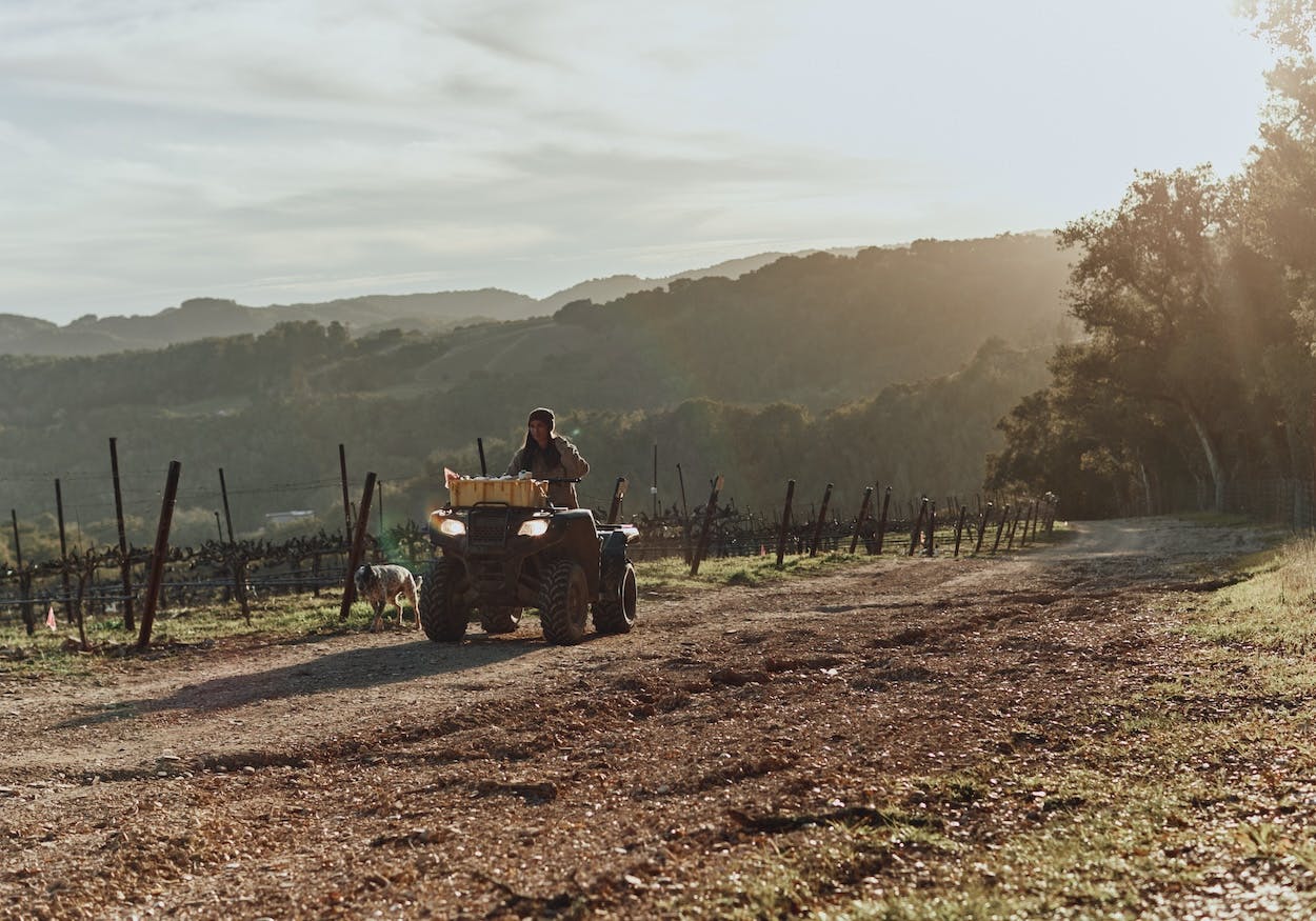 Savor Spring in Paso Robles