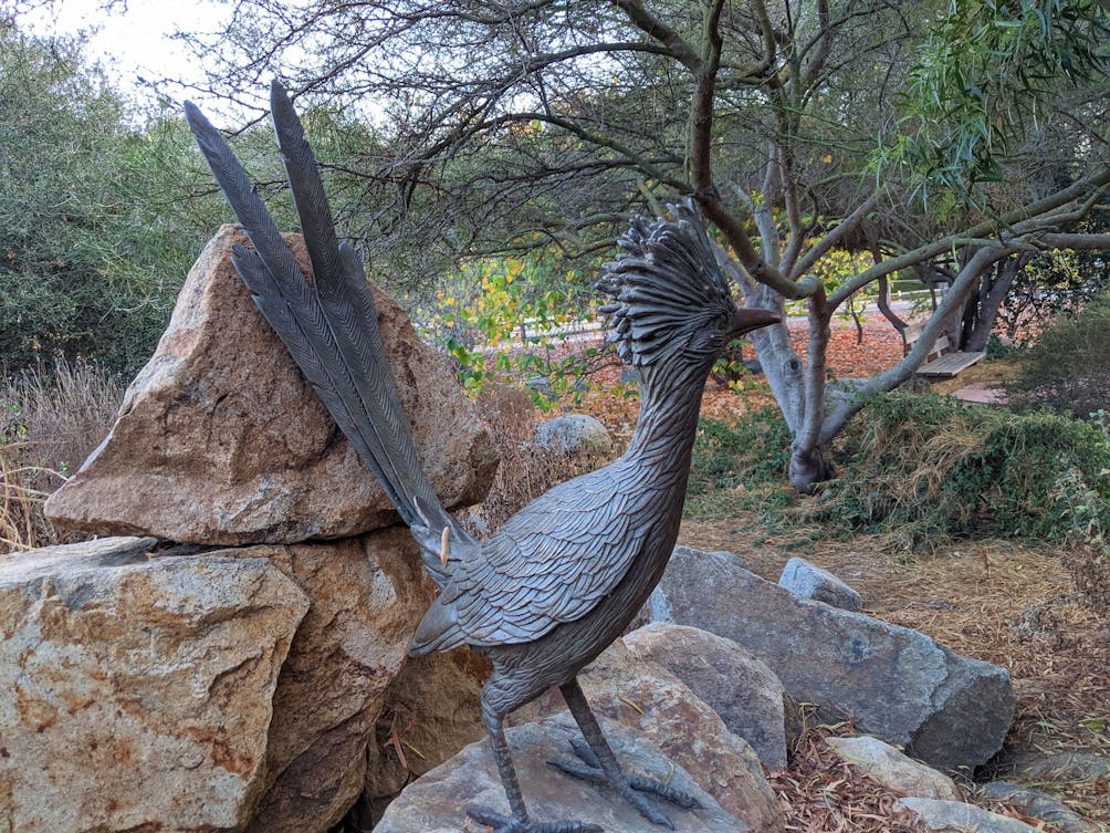 Fill Up on Fallbrook