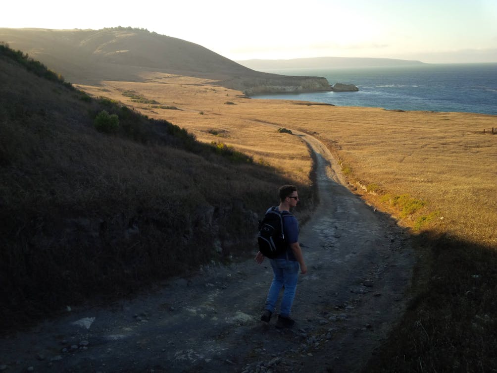 This Skunk Doesn't Stink