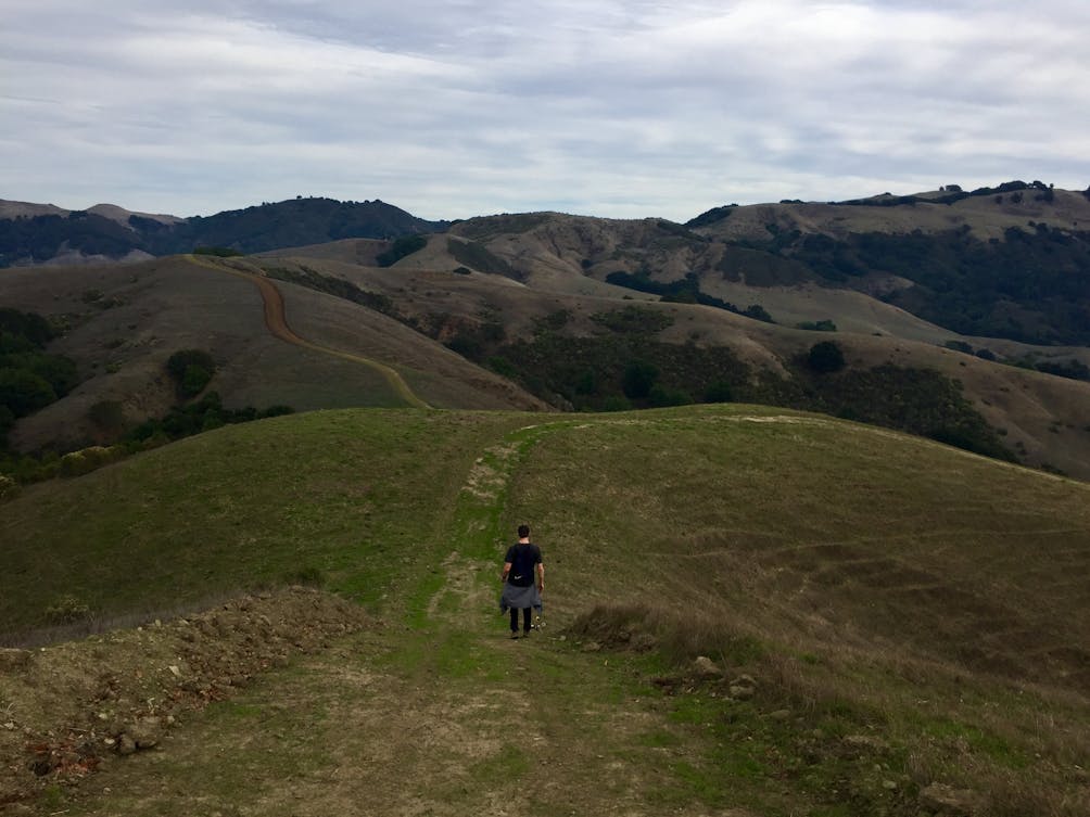 A Very Muiry Holiday Hike