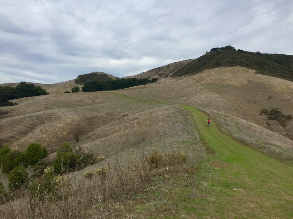 A Very Muiry Holiday Hike