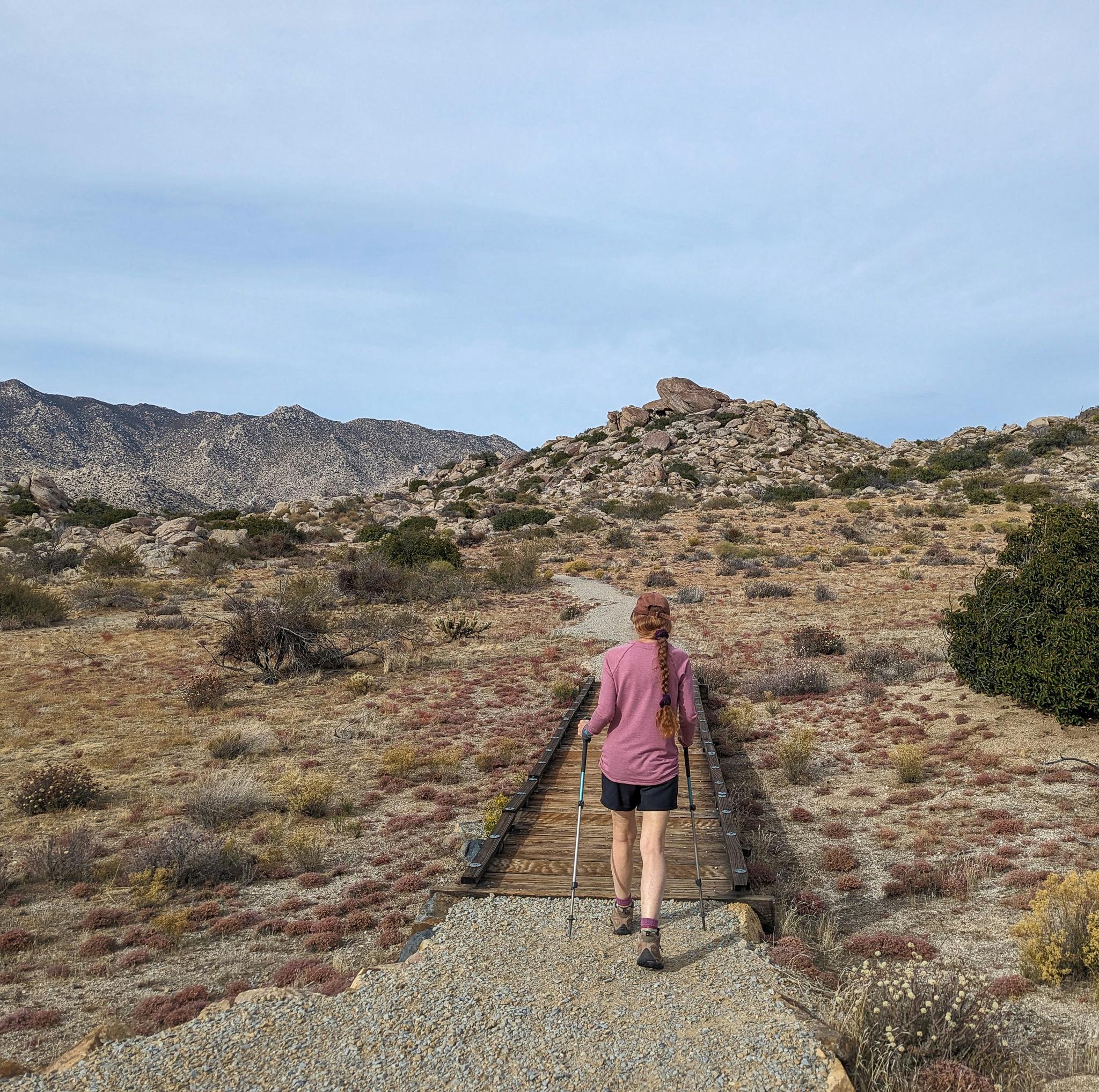 Culp Valley Overlook