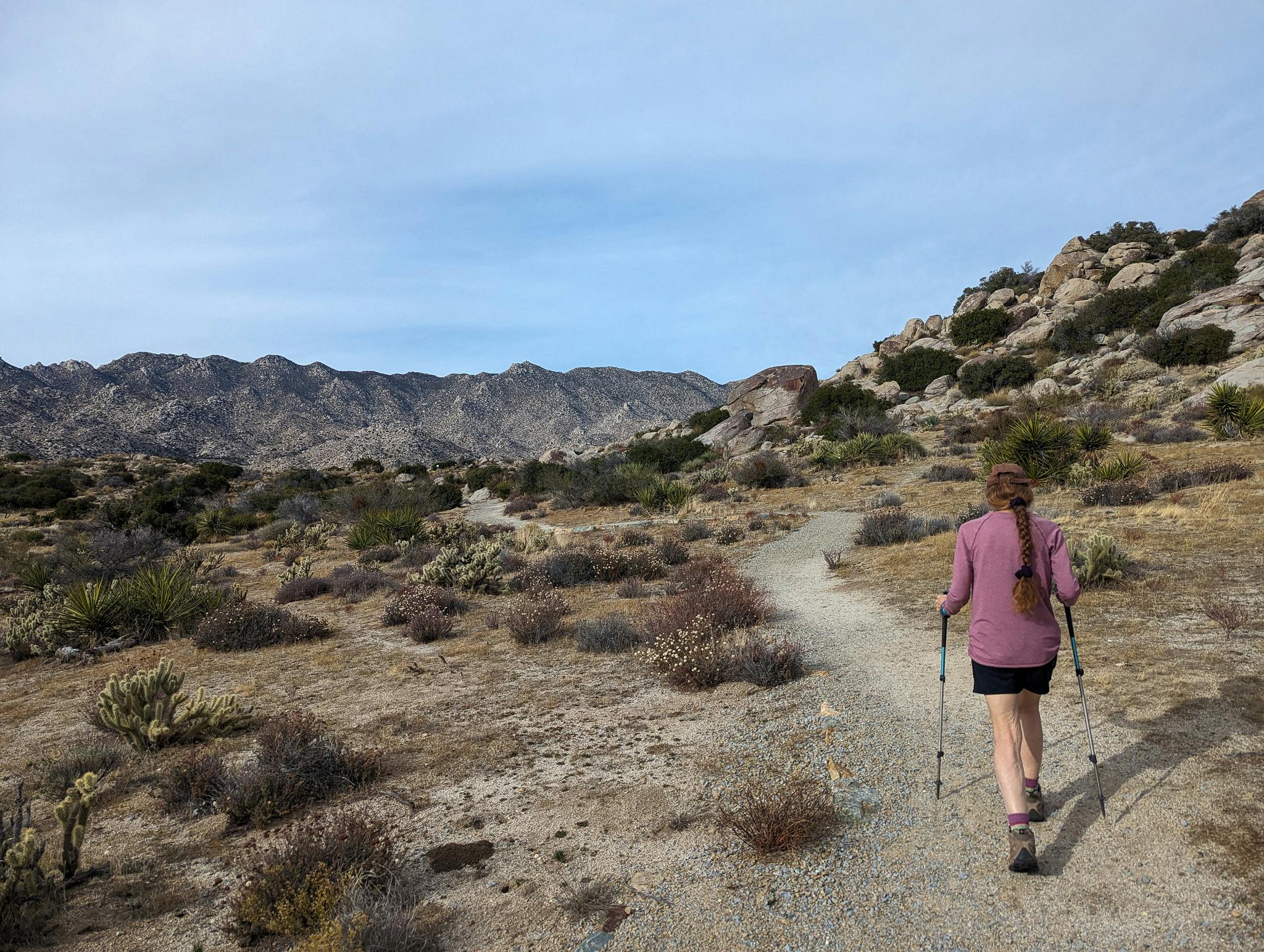 Culp Valley Overlook