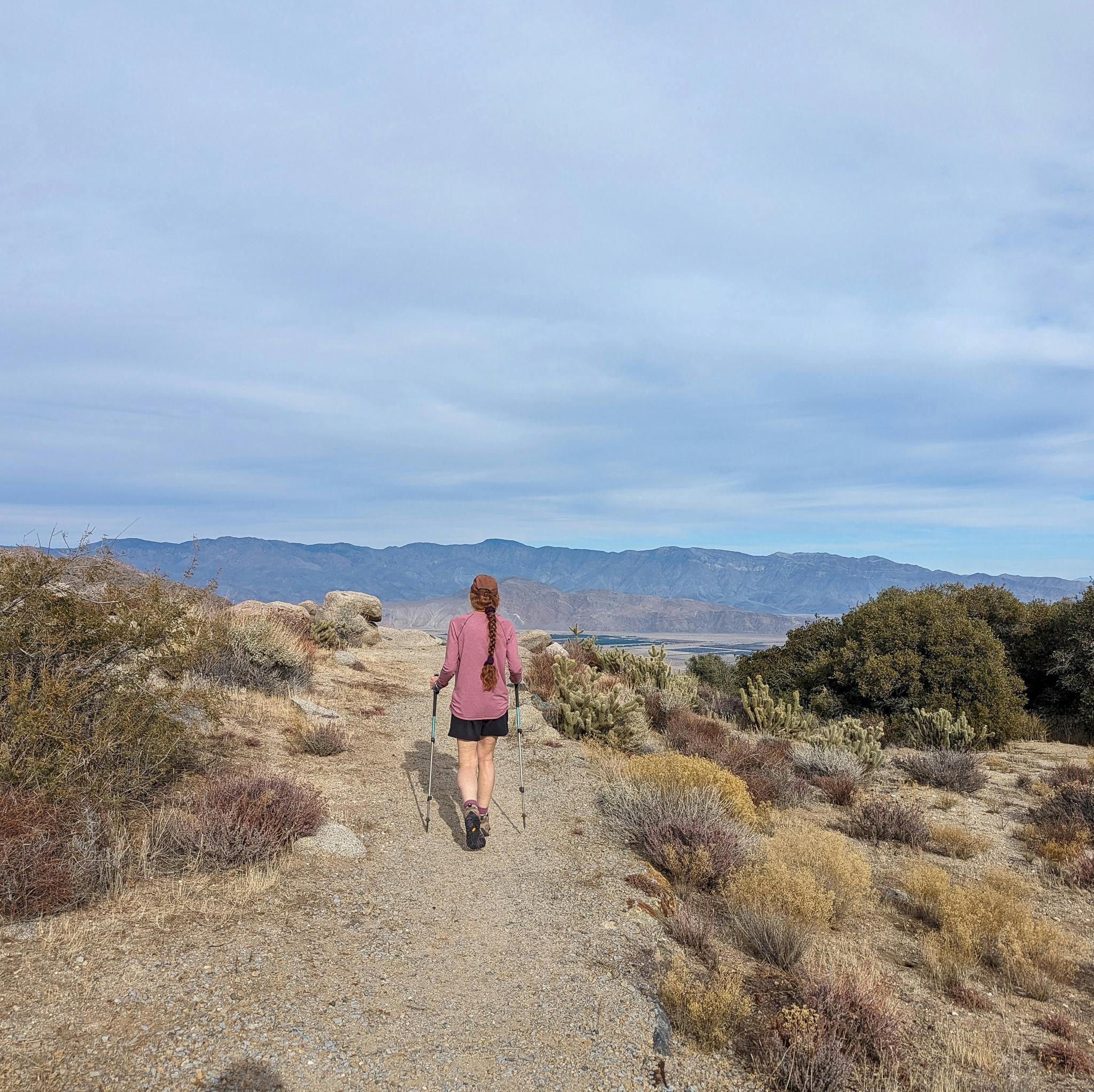 Culp Valley Overlook