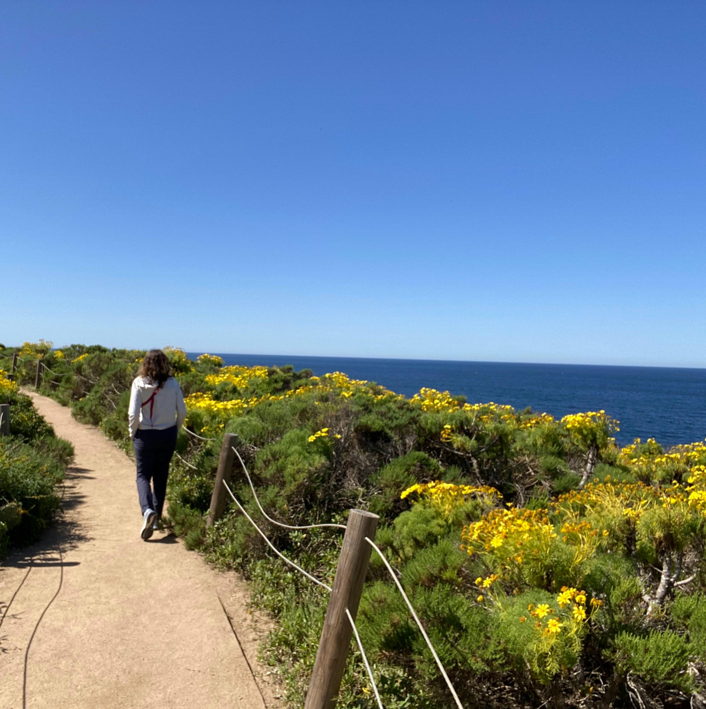 Dume in Bloom