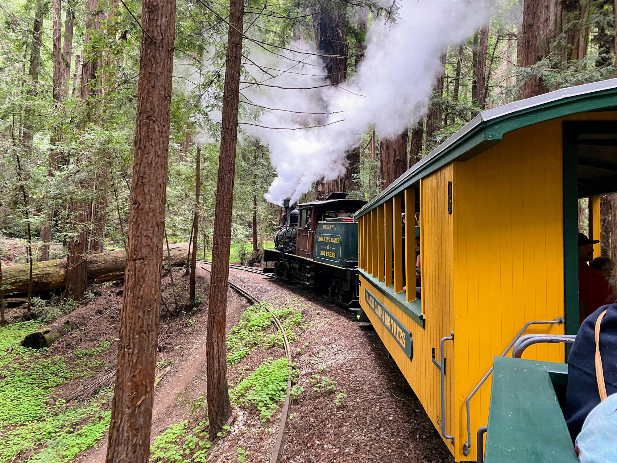 Hiking, Camping, and a Redwoods Train Ride
