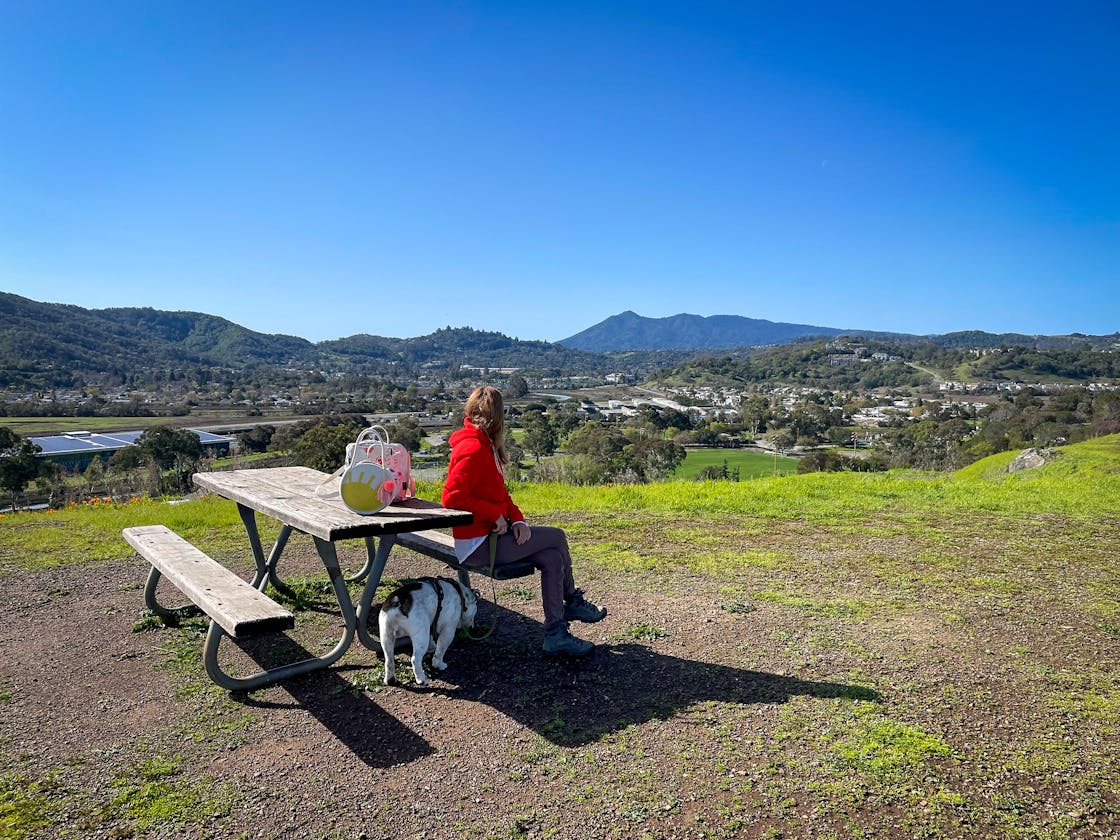 All Stories from "North Bay"