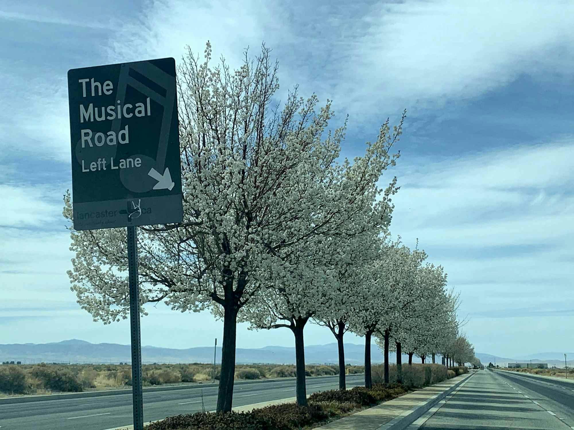 Take the Musical Road
