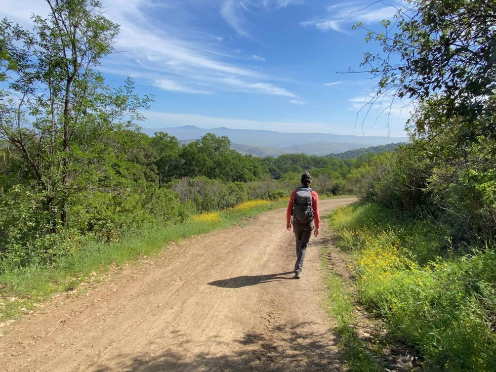 Quicksilver Confetti