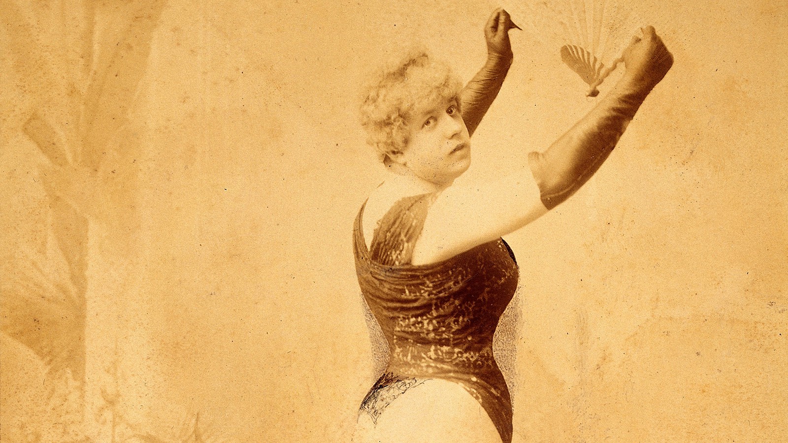 Photographs as evidence of gender identity and sexuality | Wellcome ...