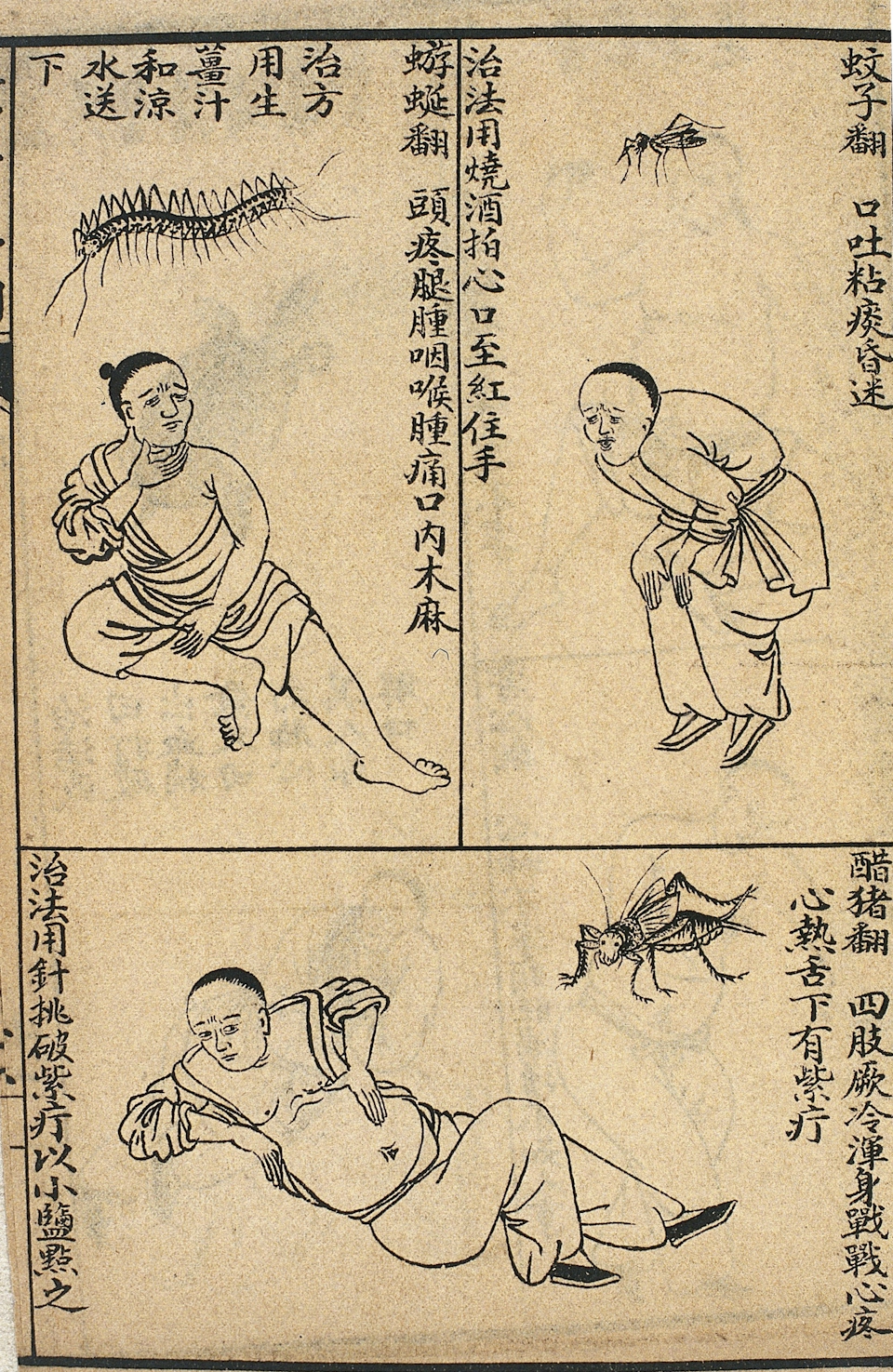 Ginger’s role in cures and courtroom battles | Wellcome Collection
