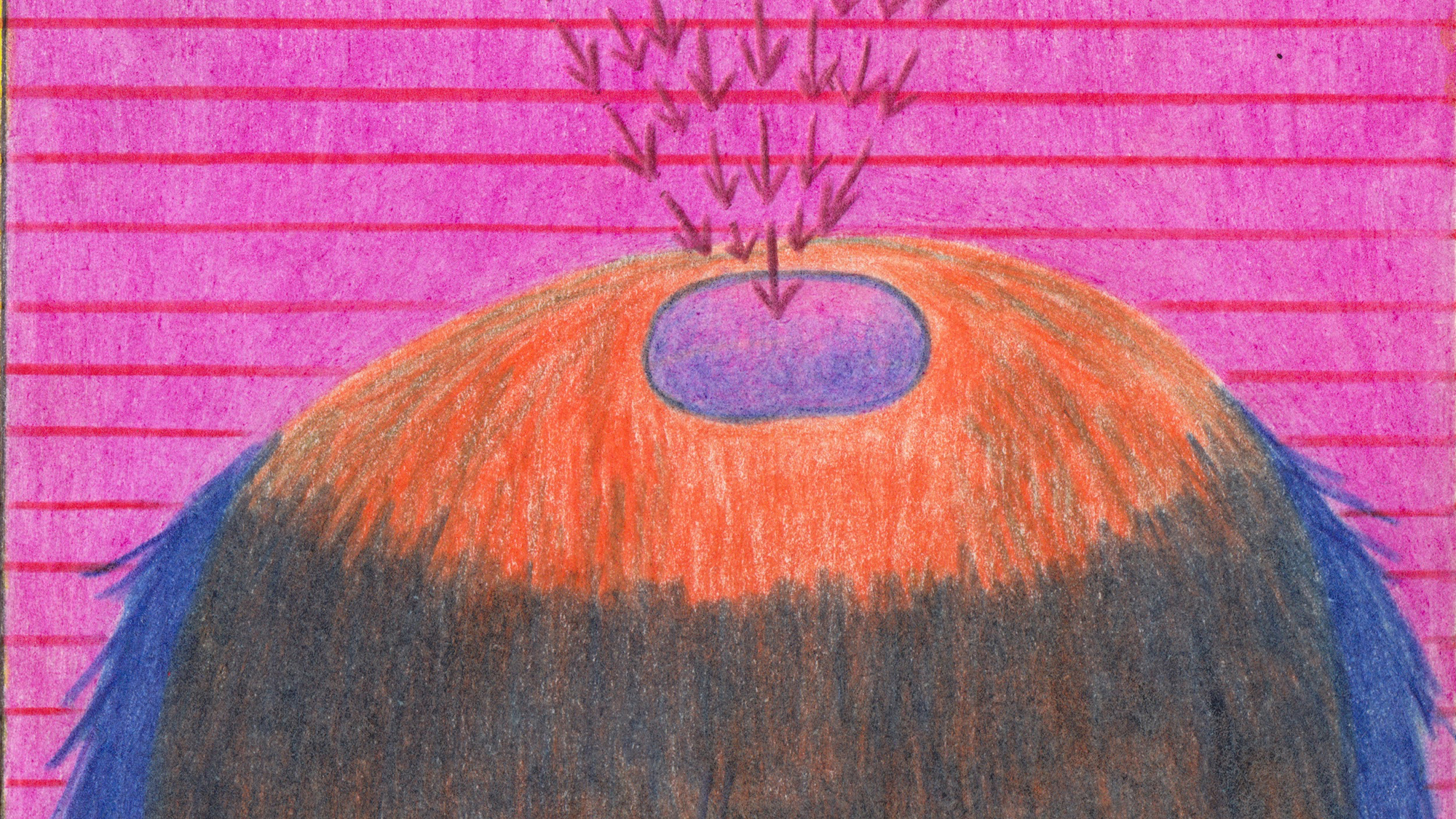 Breath | Wellcome Collection