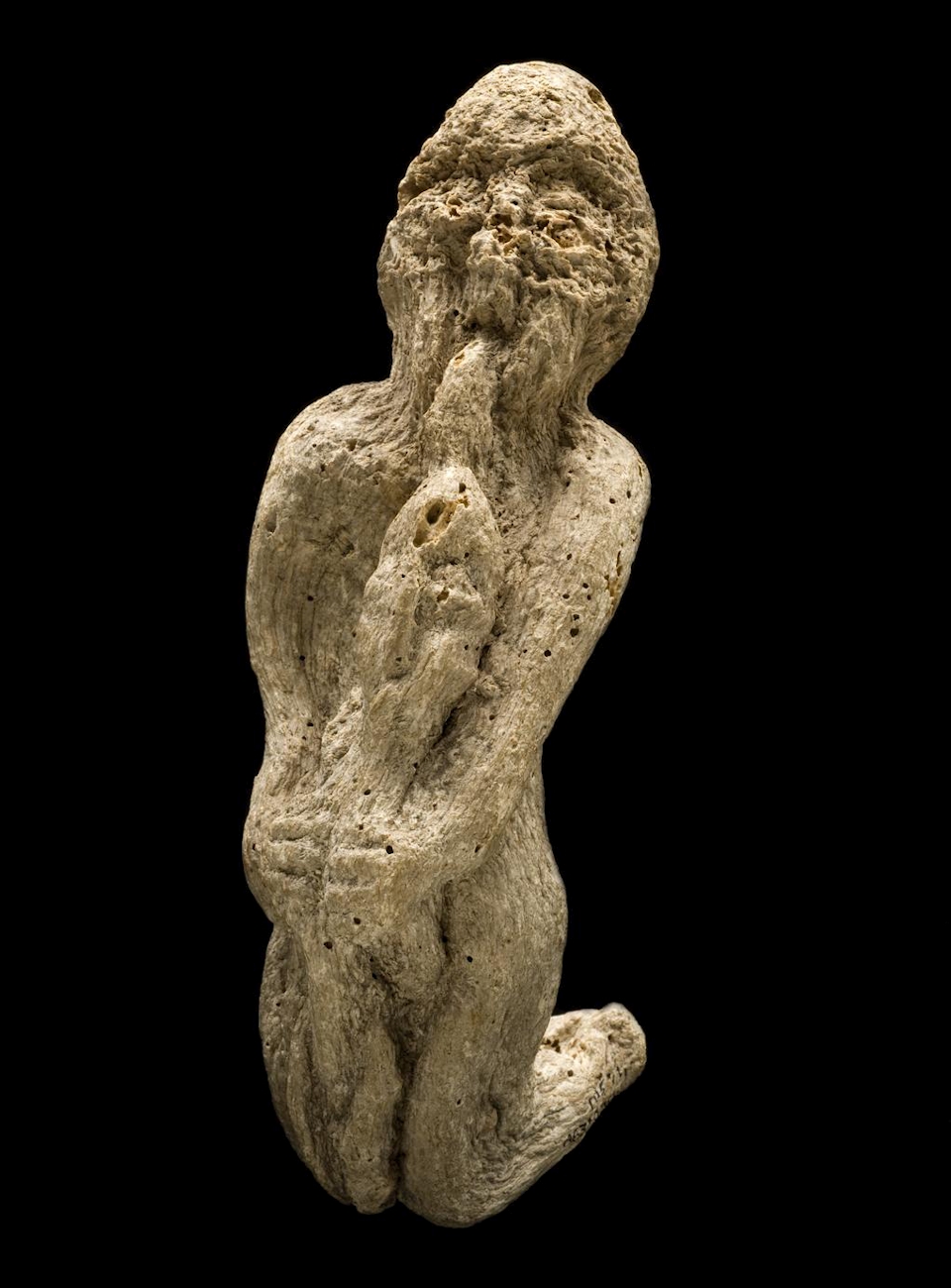 Mandrake medicine and myths | Wellcome Collection