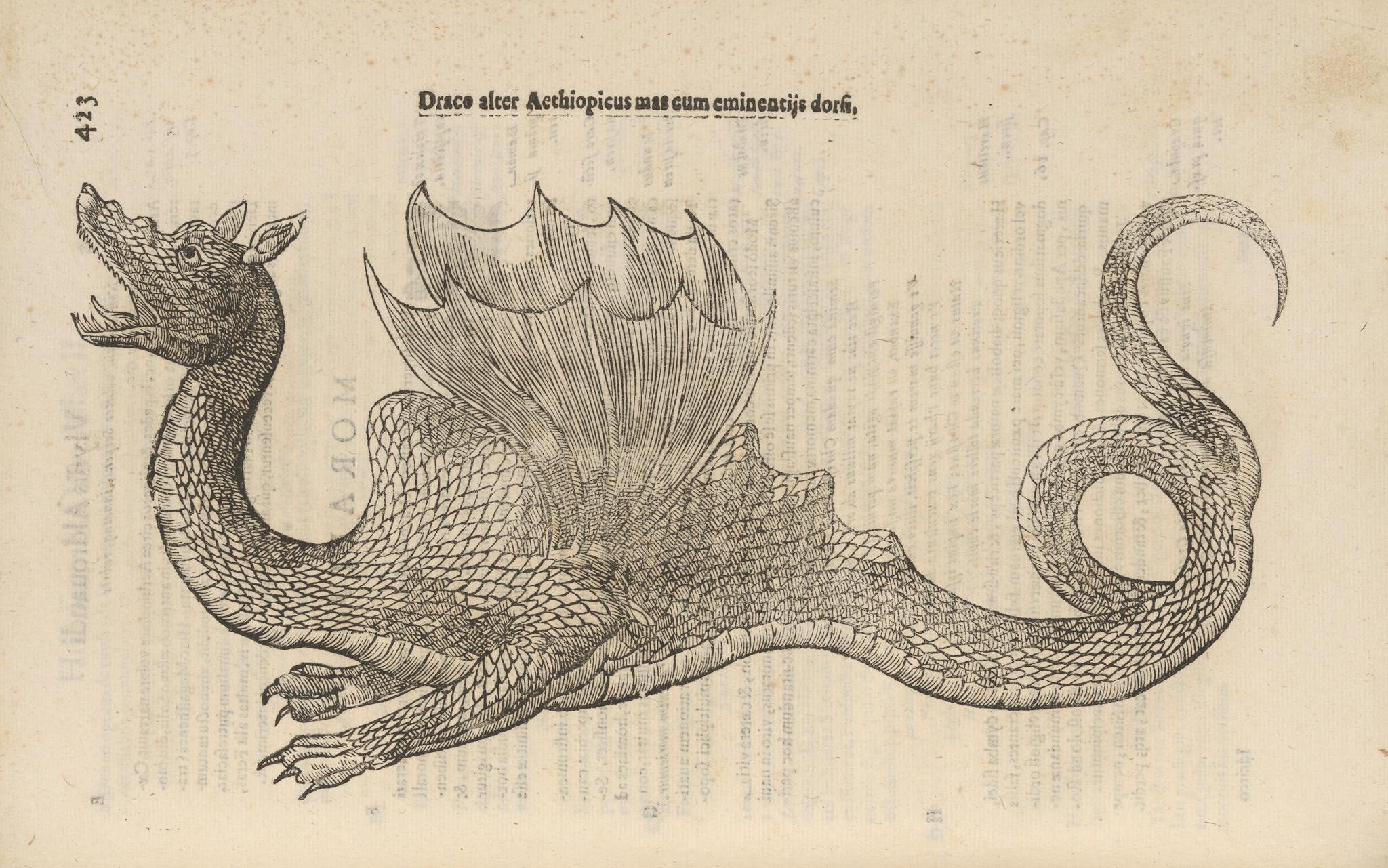 Fantastic beasts and unnatural history | Wellcome Collection