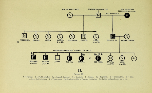 Tree of life | Wellcome Collection