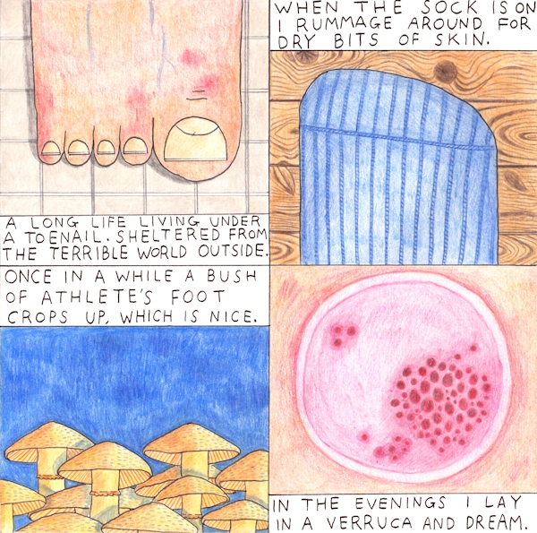 Foot | Wellcome Collection