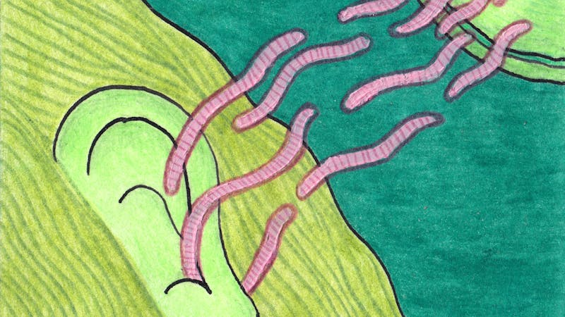 Earworms | Wellcome Collection