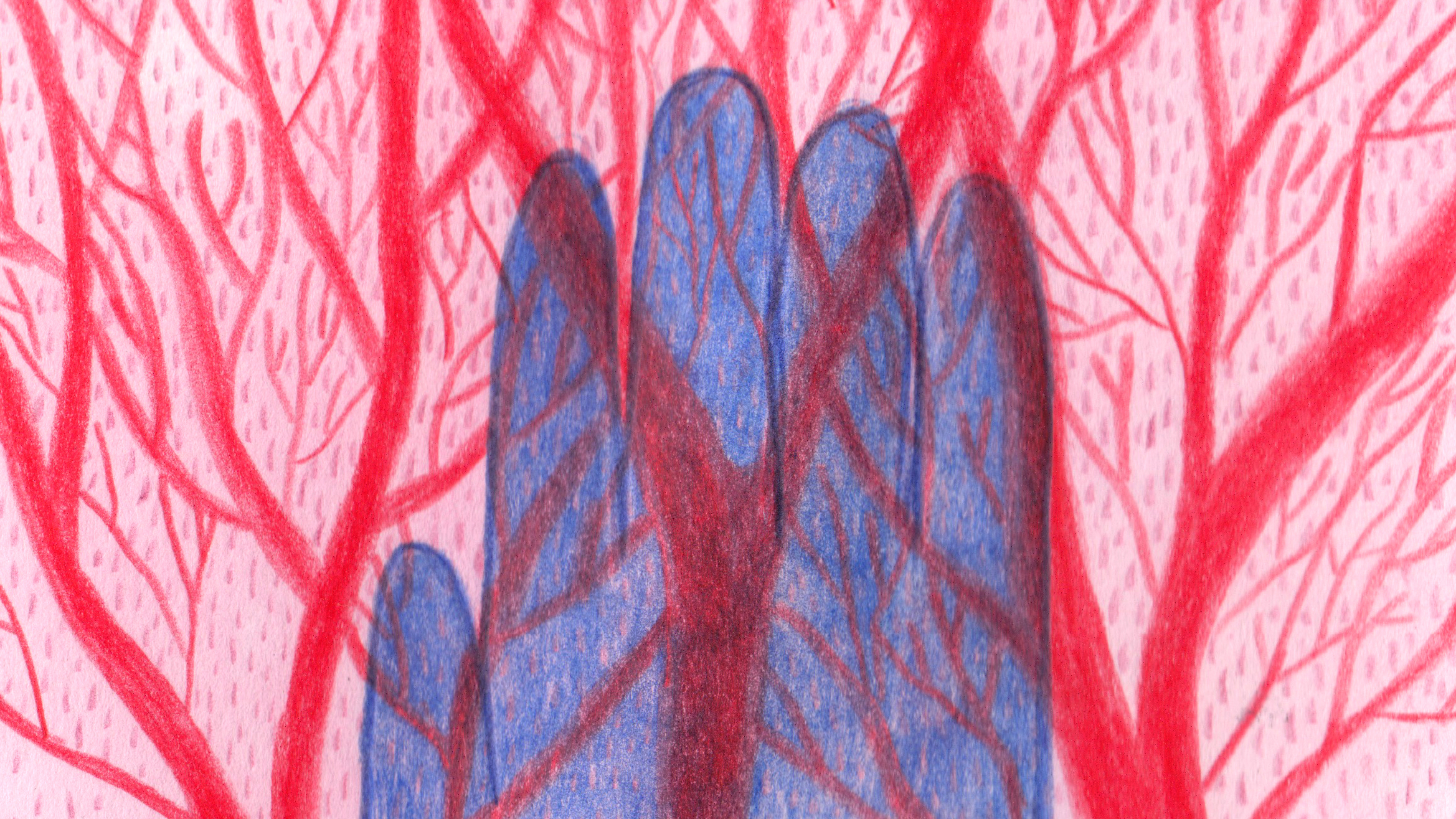 Crisps | Wellcome Collection