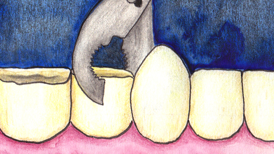 Teeth | Wellcome Collection