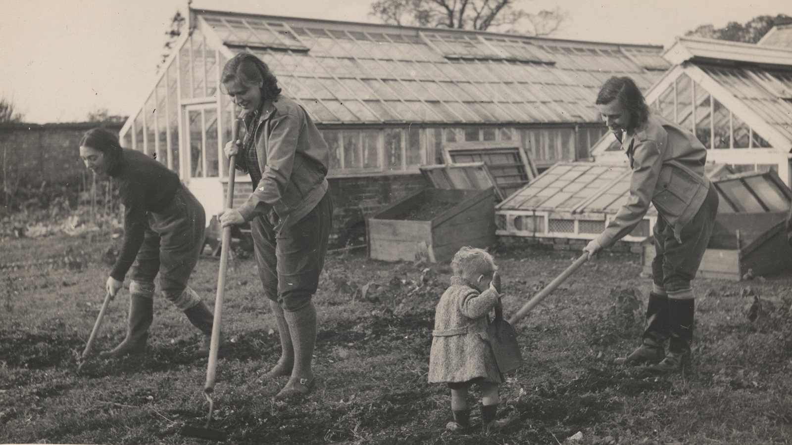 How the Peckham Experiment inspired my fiction | Wellcome Collection