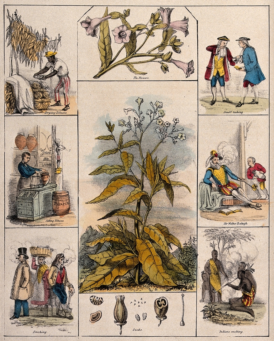 A medical history of smoking, from cure to killer | Wellcome Collection