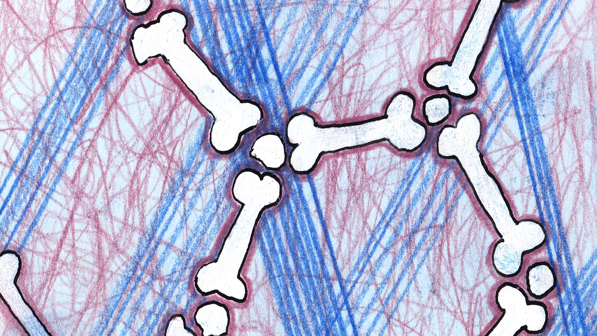 Bones | Wellcome Collection