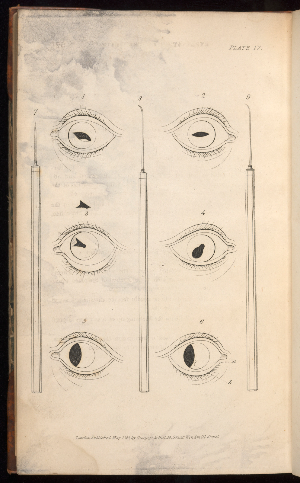 Printing the body | Wellcome Collection