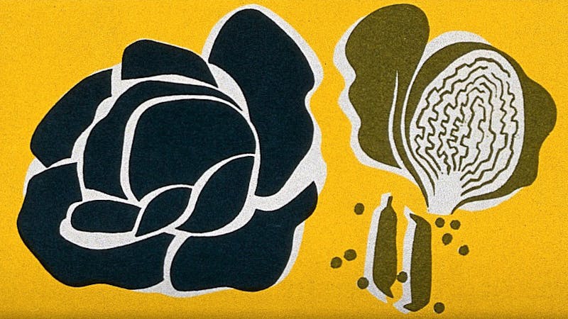 500 years of strange diets | Wellcome Collection