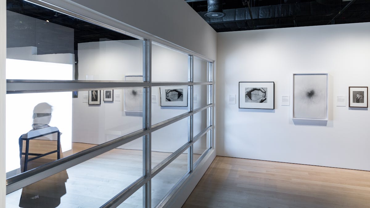 Forensics: The Anatomy of Crime | Wellcome Collection