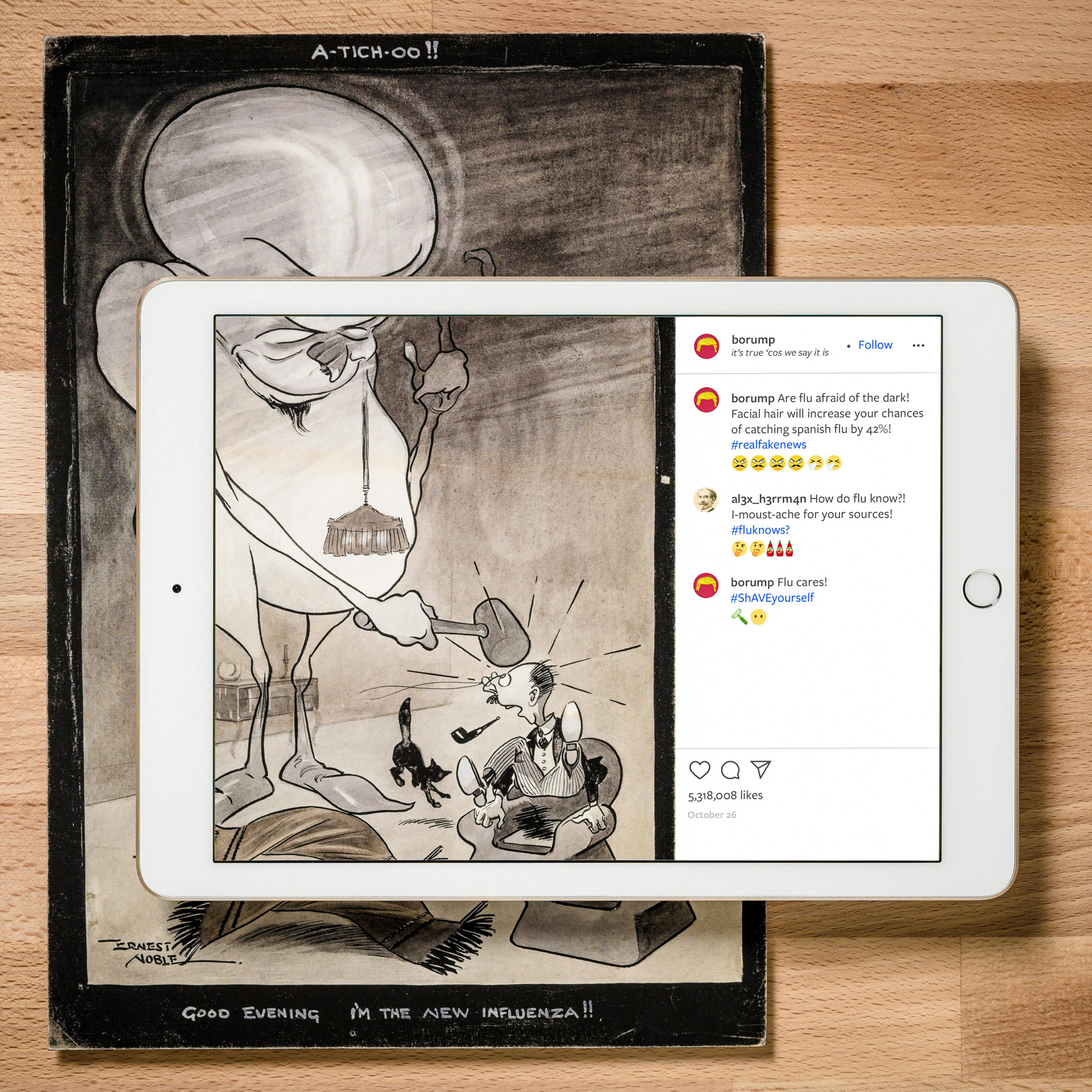 Swine Flu Quarantine Sign