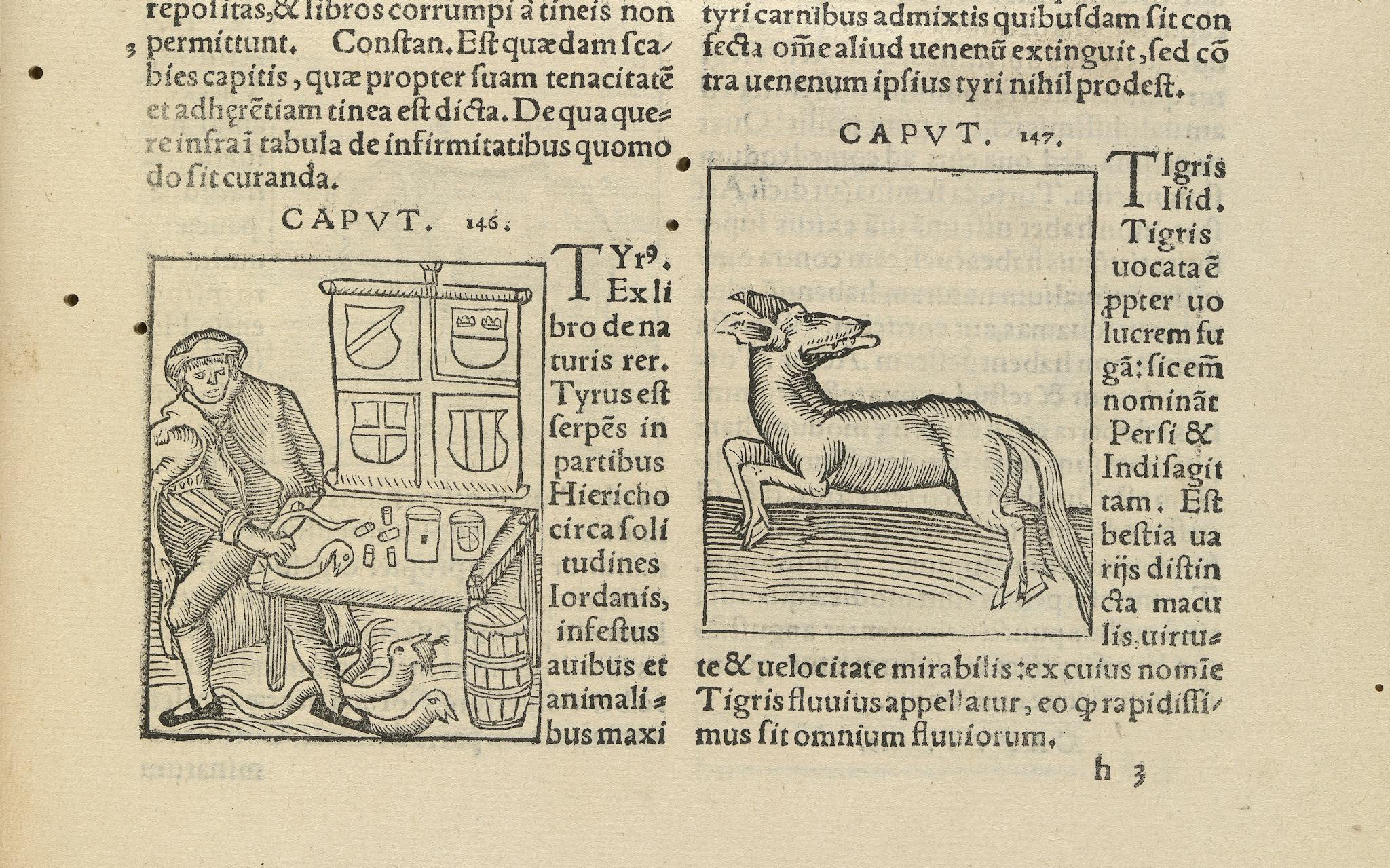 Theriac: An ancient brand? | Wellcome Collection