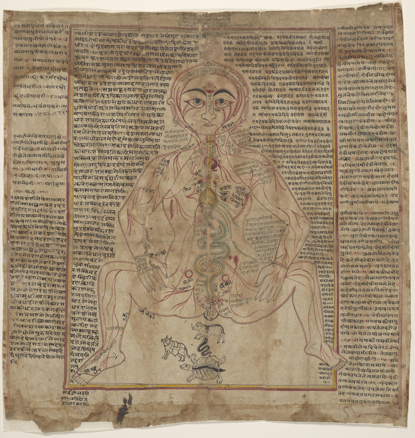 Mapping the body | Wellcome Collection