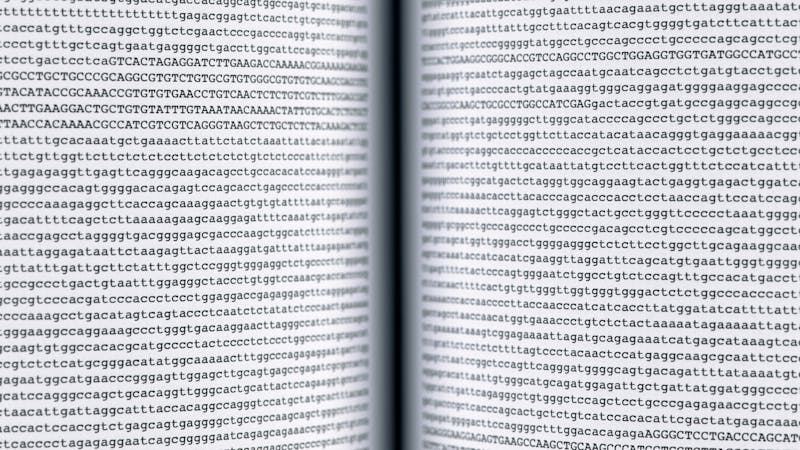 The Key to Memory: Write it down | Wellcome Collection