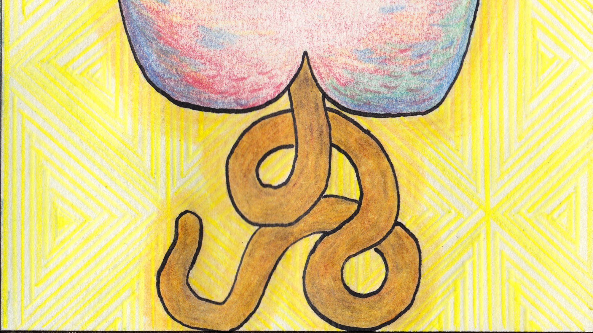 Turds | Wellcome Collection