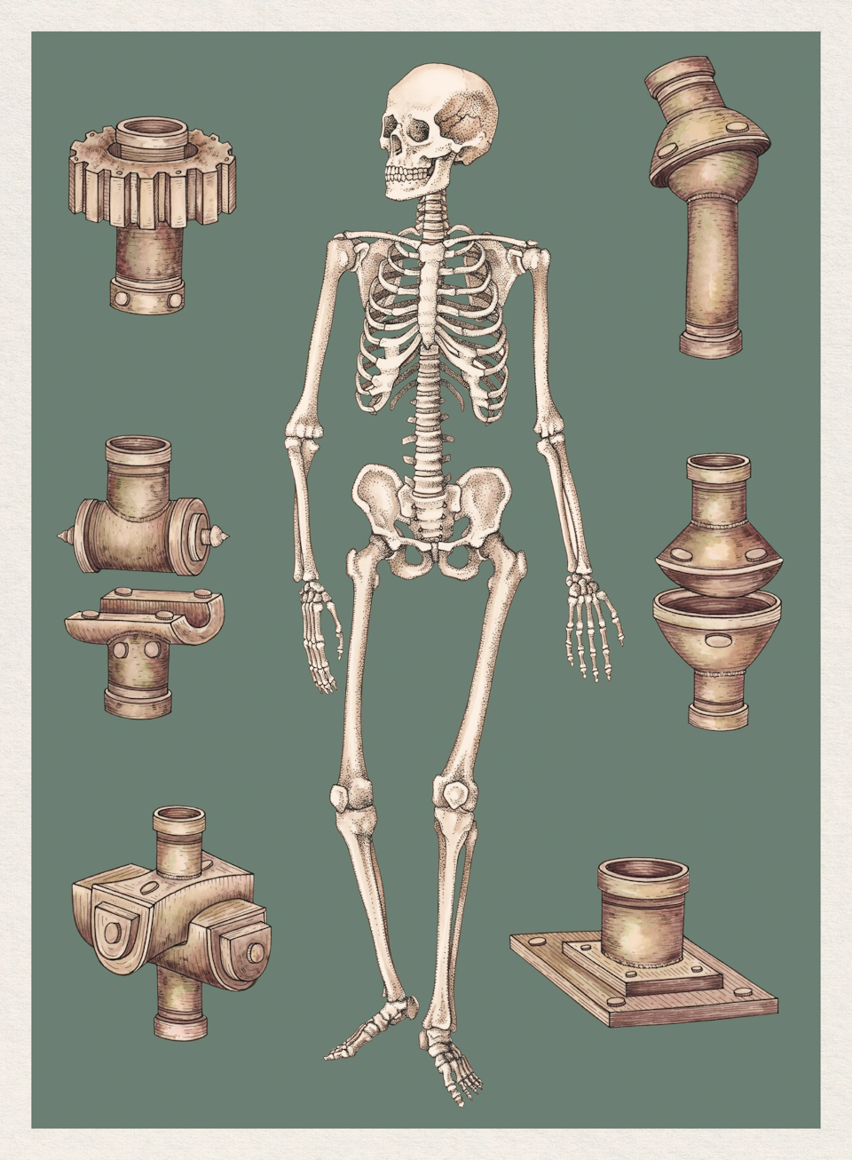 Our bodies inside out | Wellcome Collection