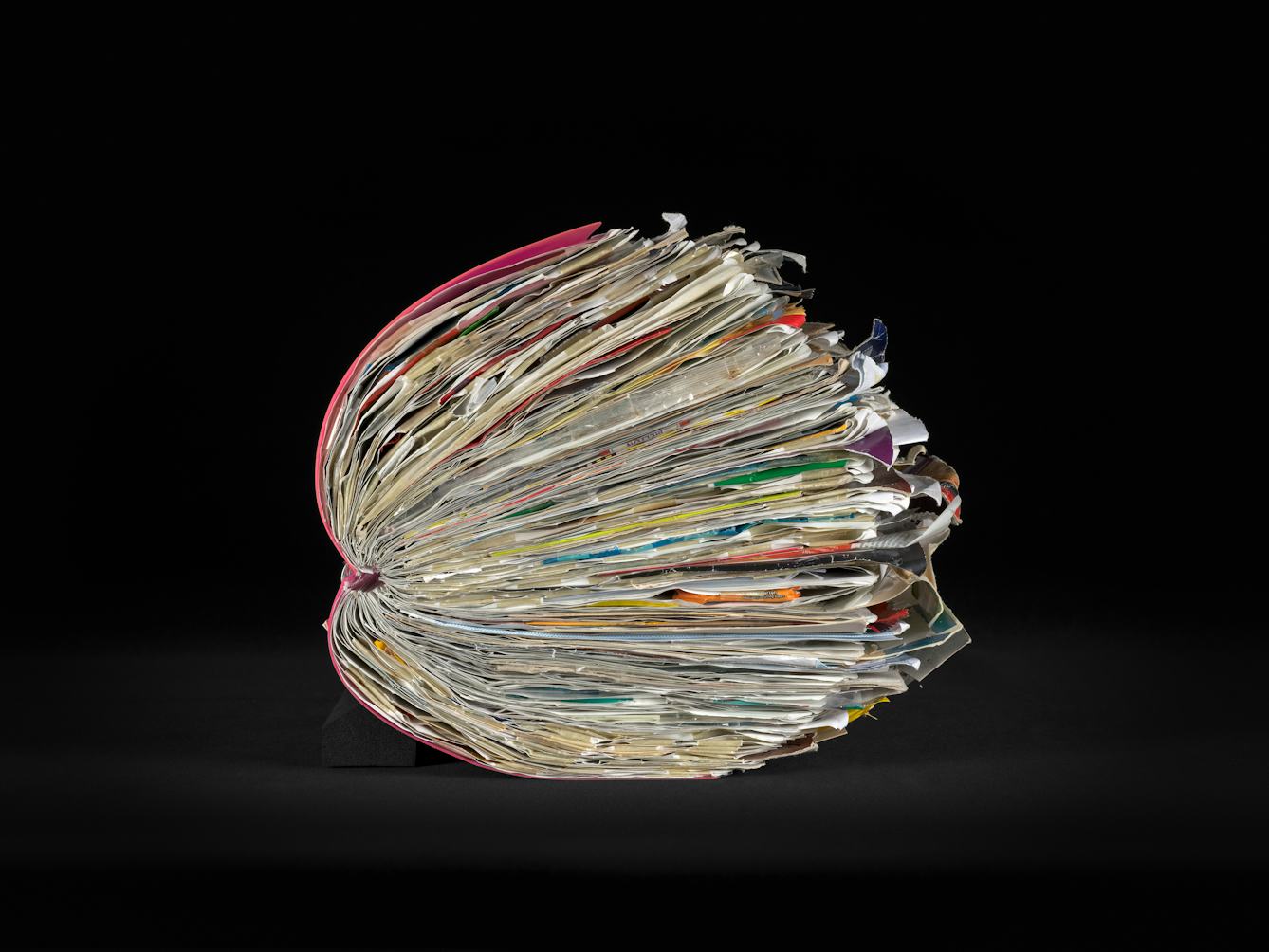 Finding Audrey Amiss | Wellcome Collection