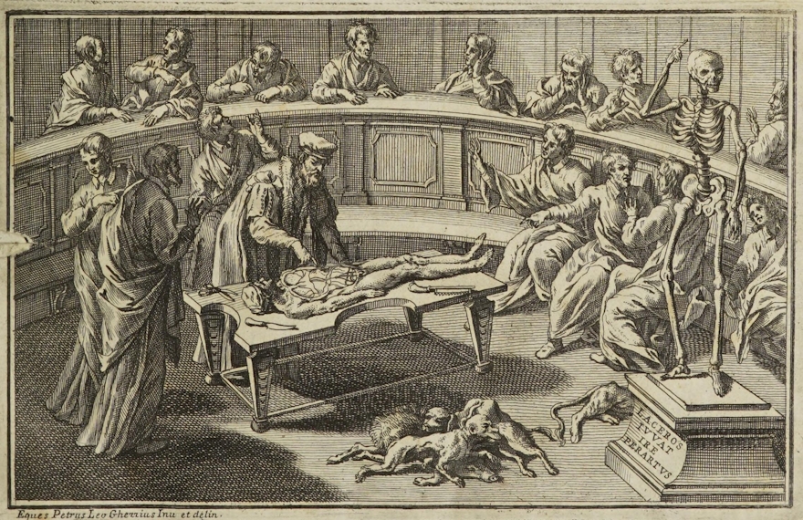The original drama of operating theatres | Wellcome Collection
