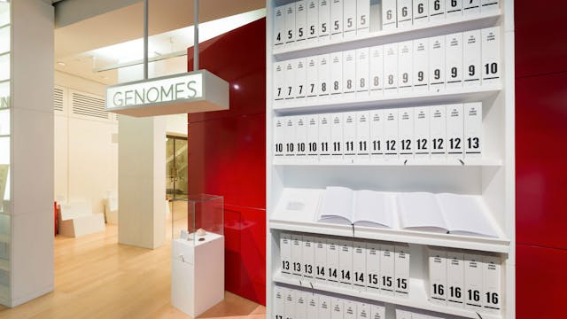 The Key to Memory: Write it down | Wellcome Collection