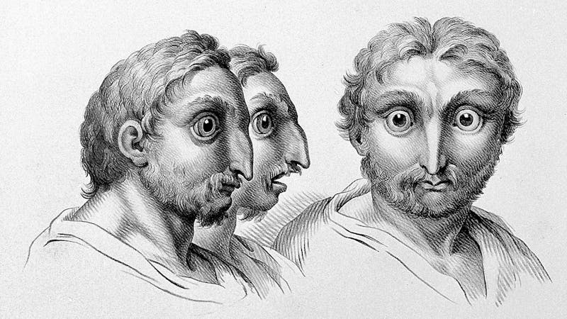 Drawing the human animal | Wellcome Collection