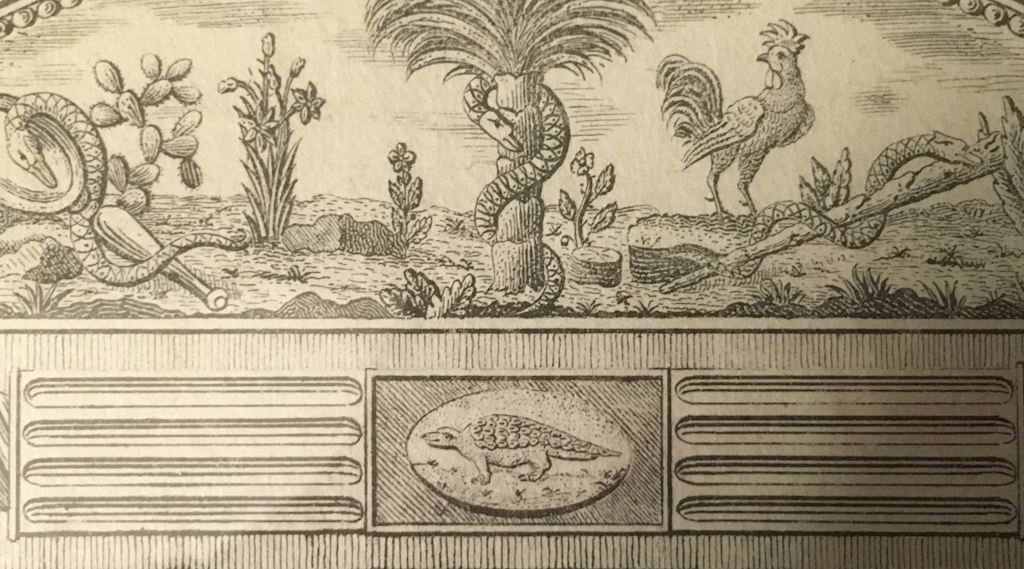 The origins and meanings of pharmacy symbols | Wellcome Collection
