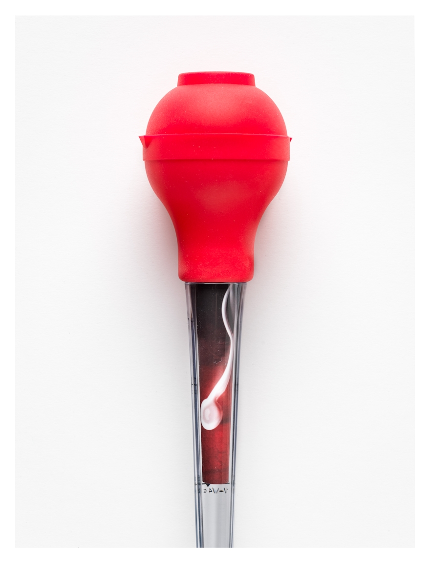 Busting myths about turkey-baster babies | Wellcome Collection