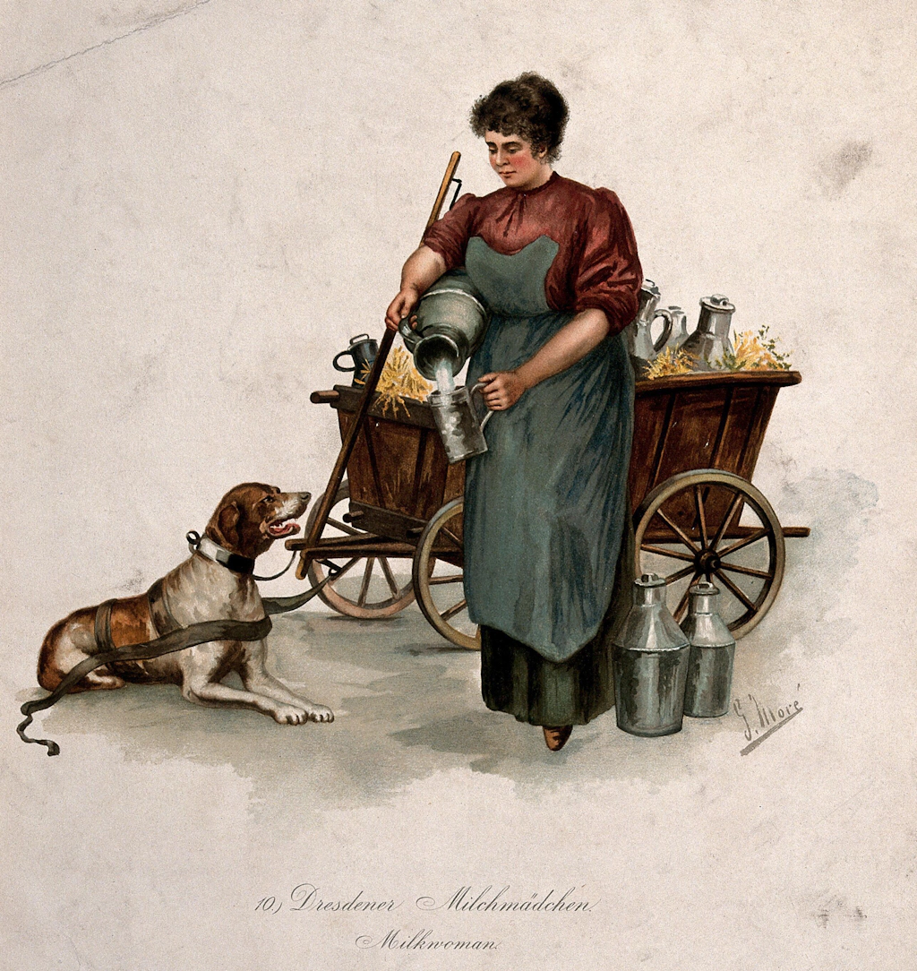 Milkmaids and the image of purity | Wellcome Collection