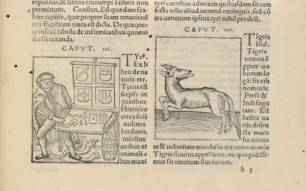 Theriac: An ancient brand? | Wellcome Collection