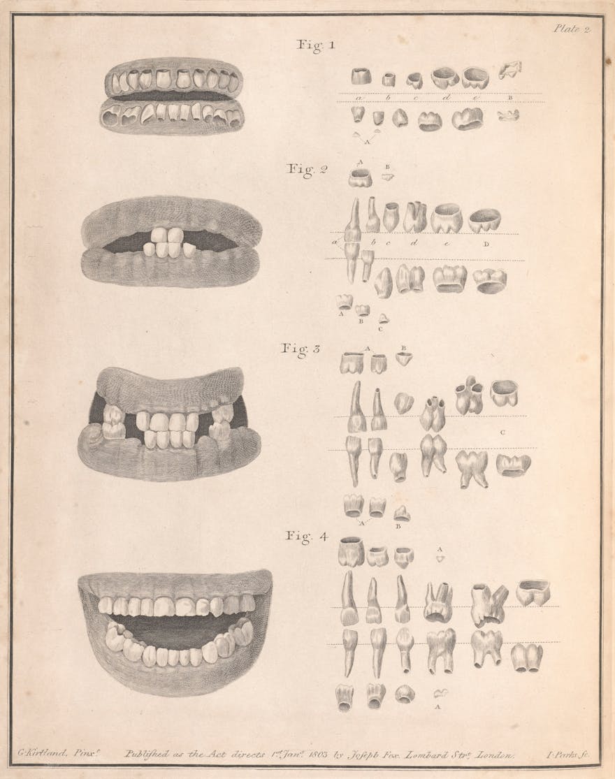 The secrets your teeth hold | Wellcome Collection