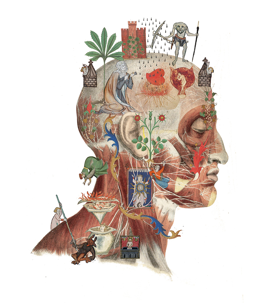 Book design, dissected | Wellcome Collection