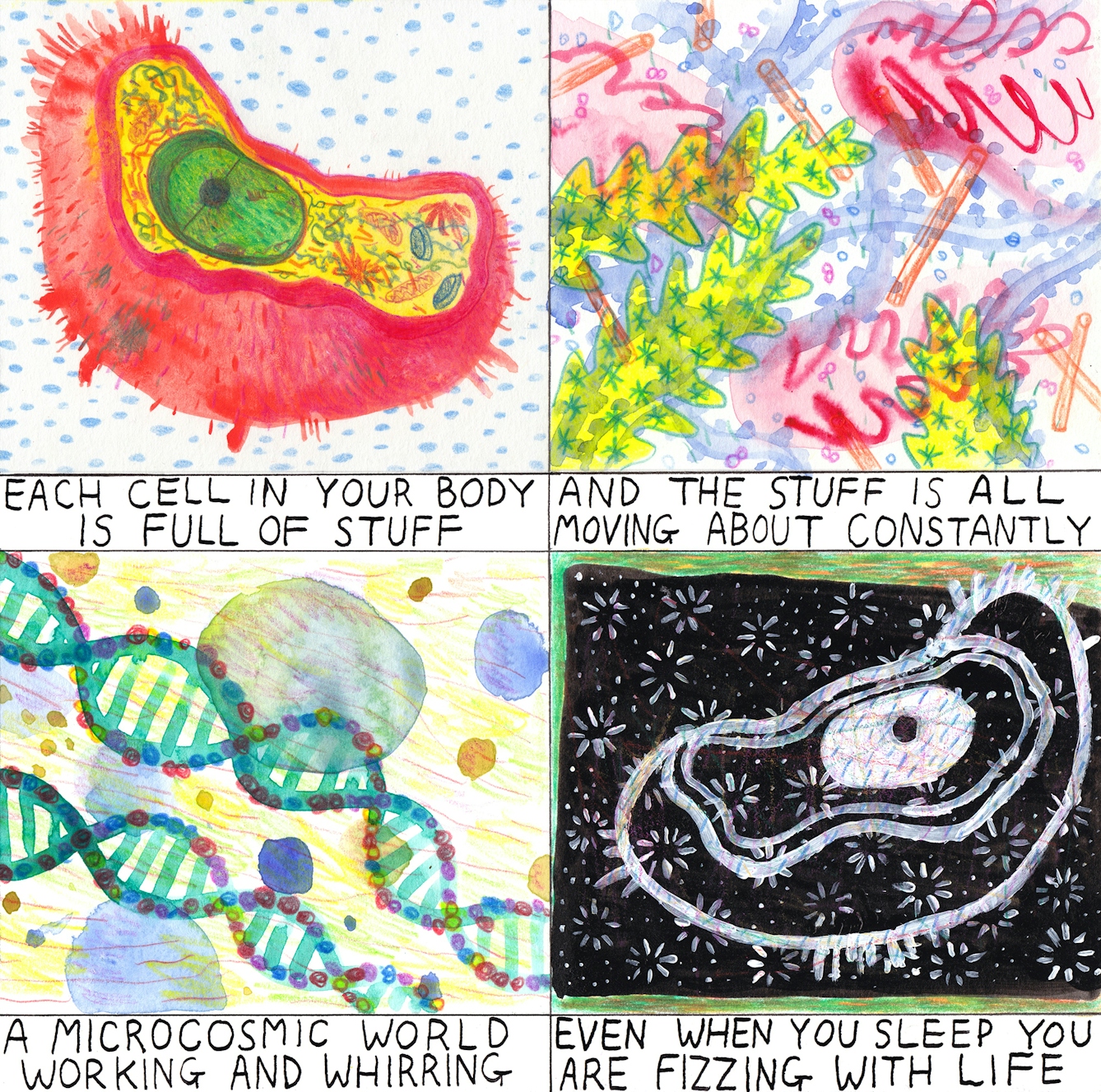 Cell | Wellcome Collection