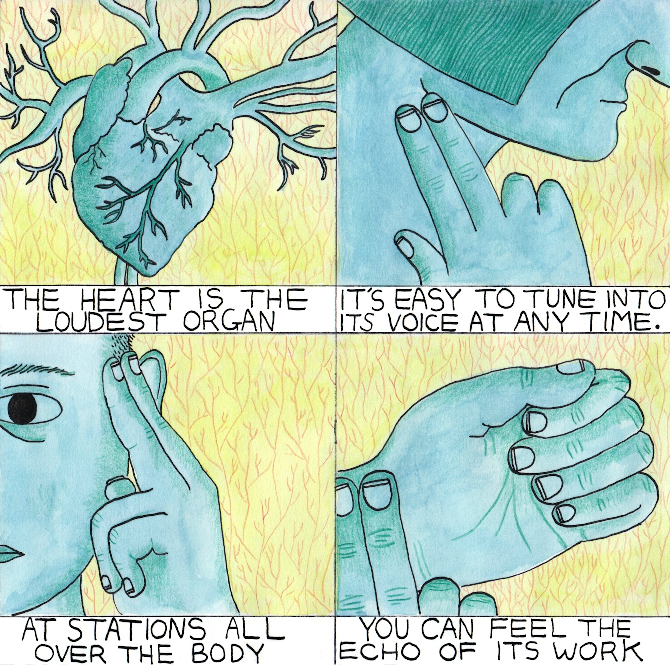 Heart | Wellcome Collection