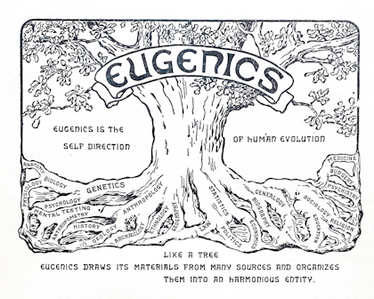 Tree of life | Wellcome Collection