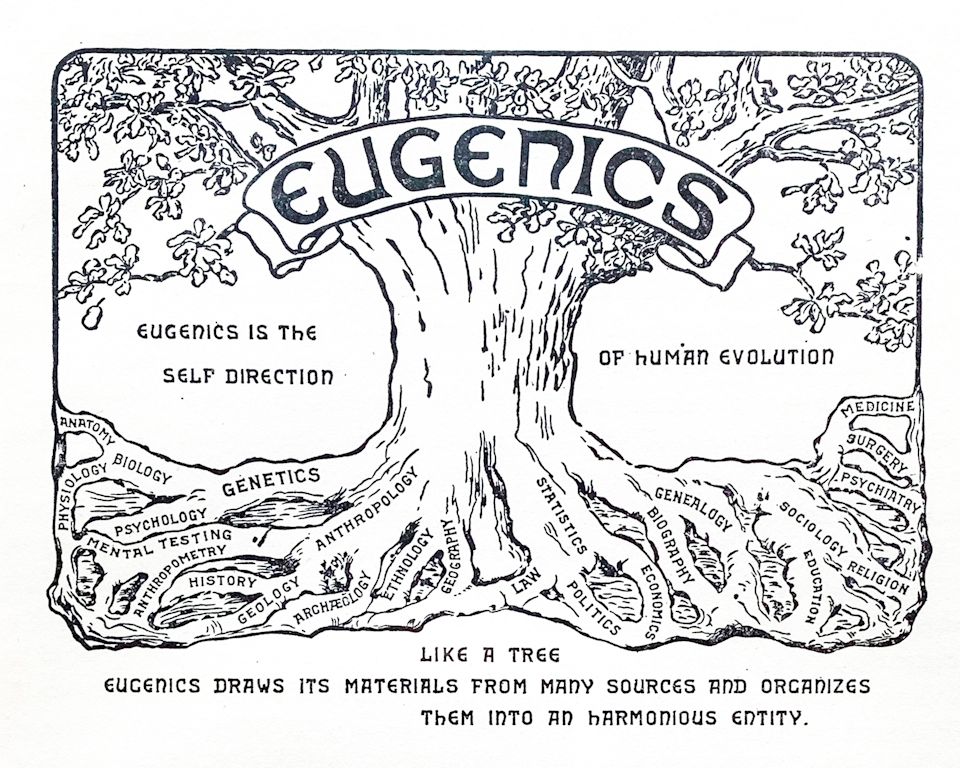 Tree of life | Wellcome Collection